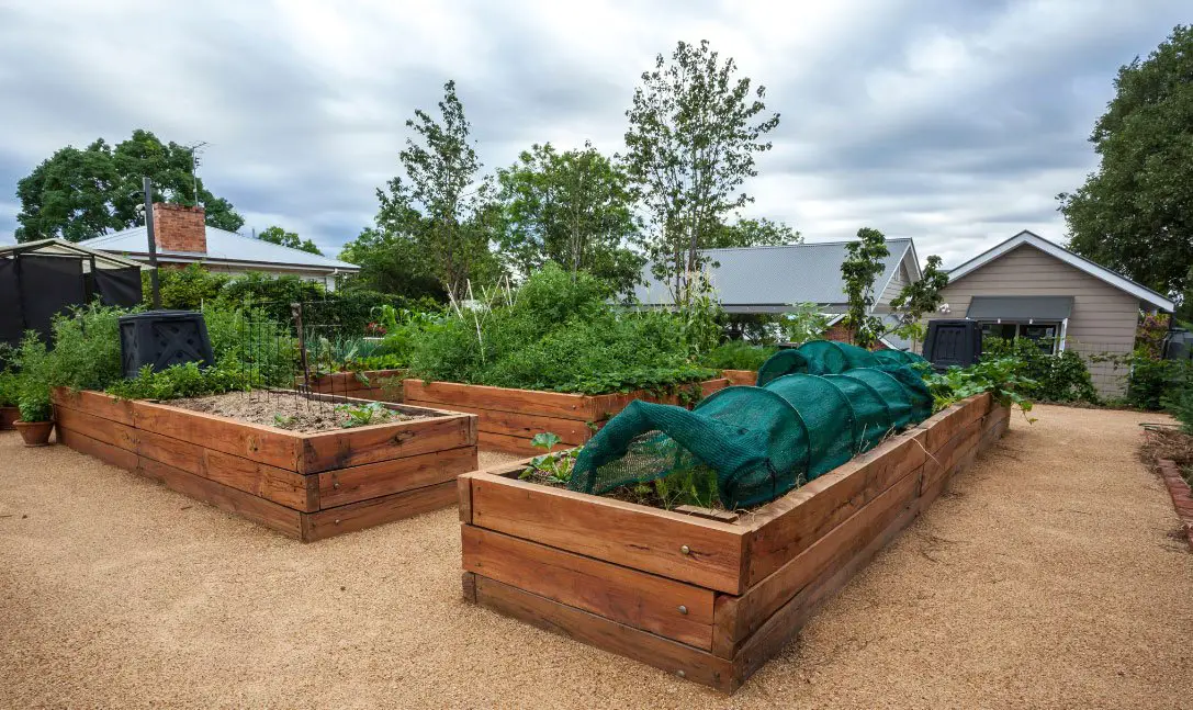 Building A Sustainable Future A Comprehensive Guide To Self Sufficient
